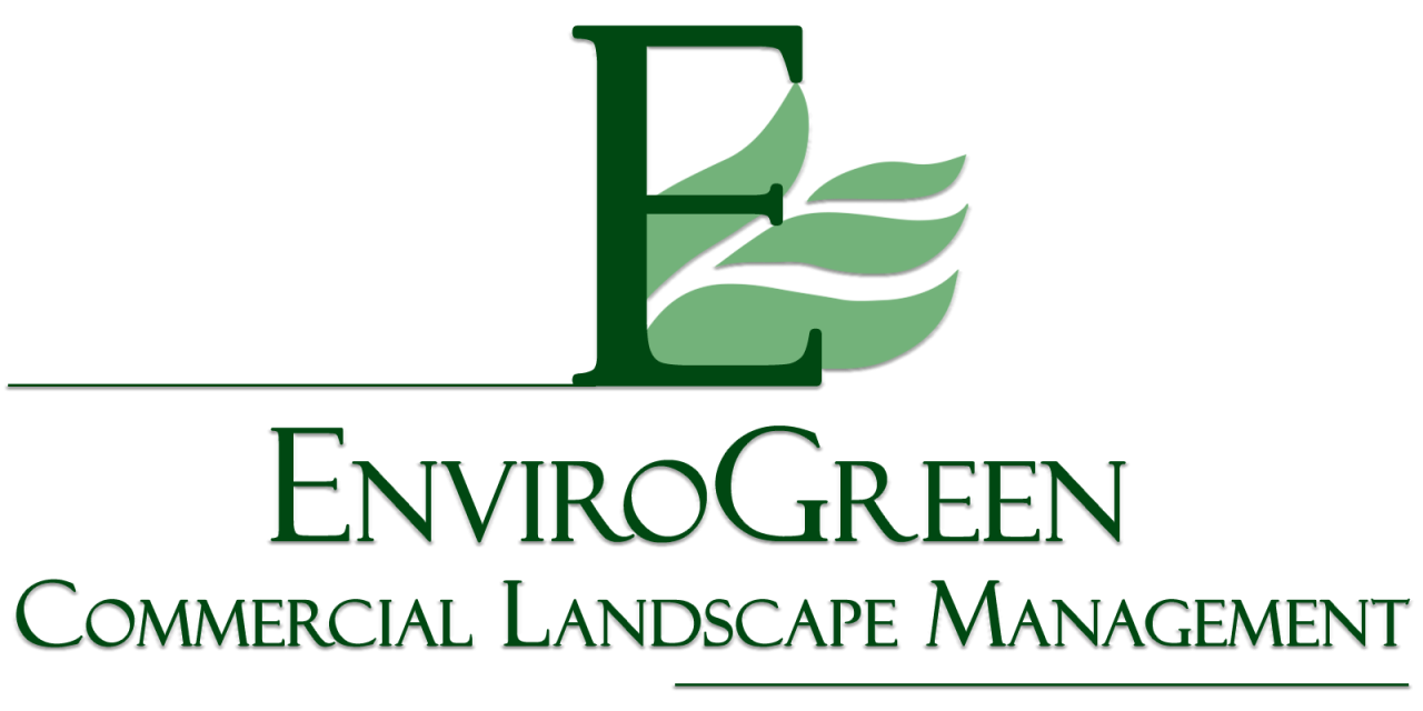 EnviroGreen | Transform Your Outdoor Space